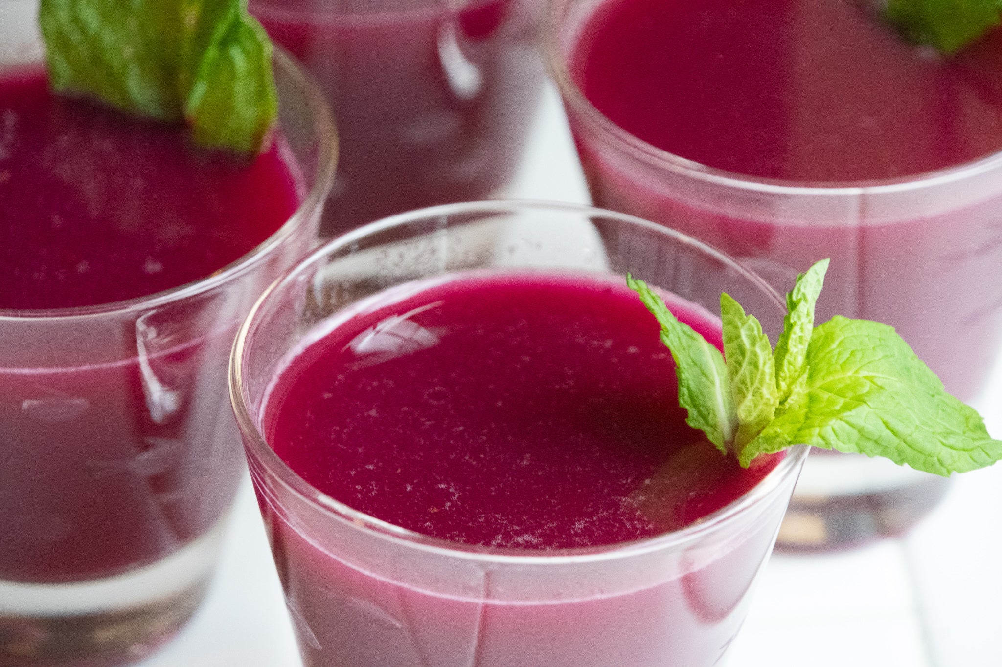 Wild Blueberry Wellness Shot – Josh Pond