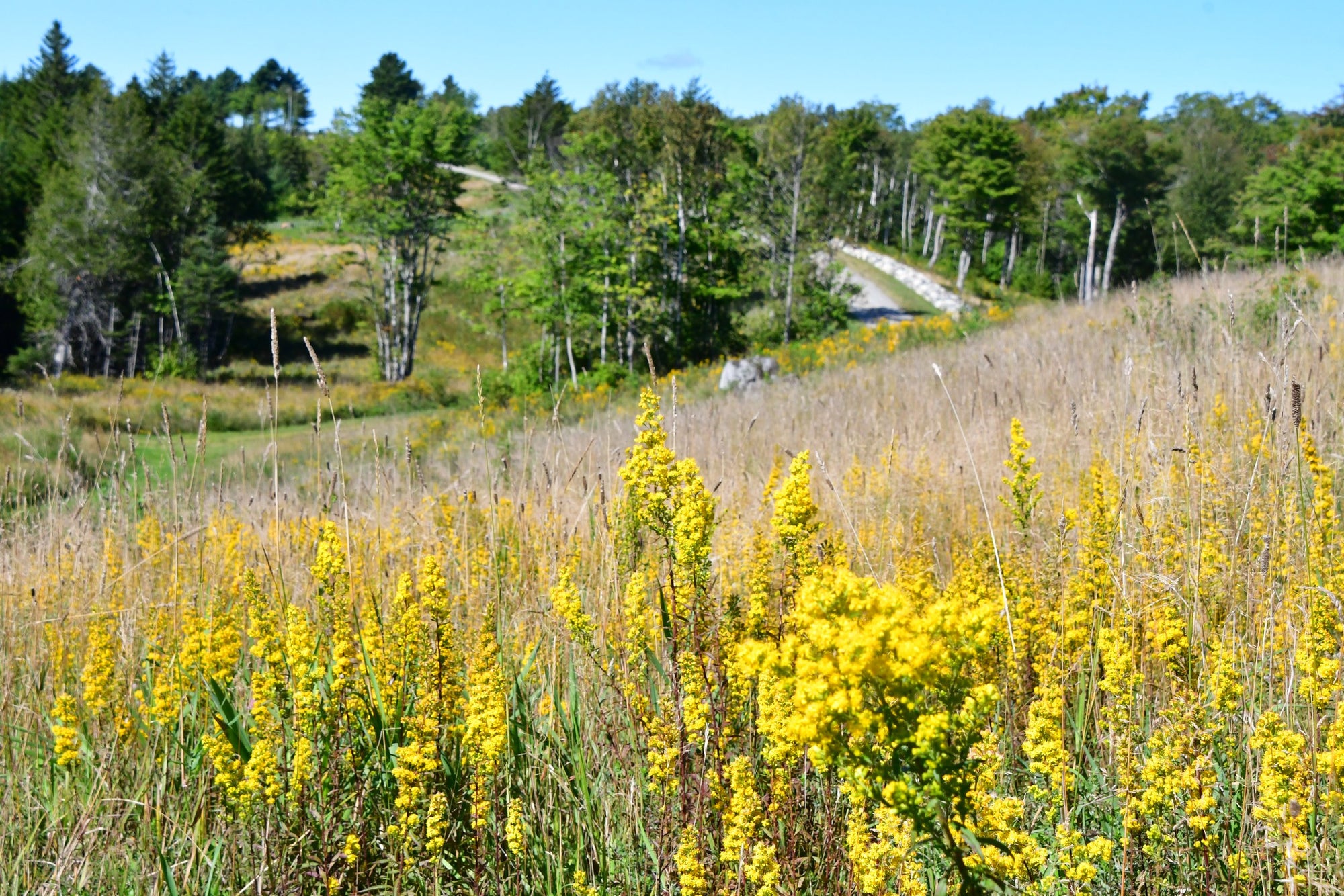 AROUND THE FARM – Josh Pond